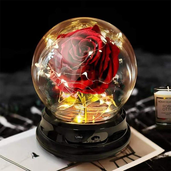 Valentines Day Rose Crystal Ball Flower Enchanted Red Beauty Beast ...
